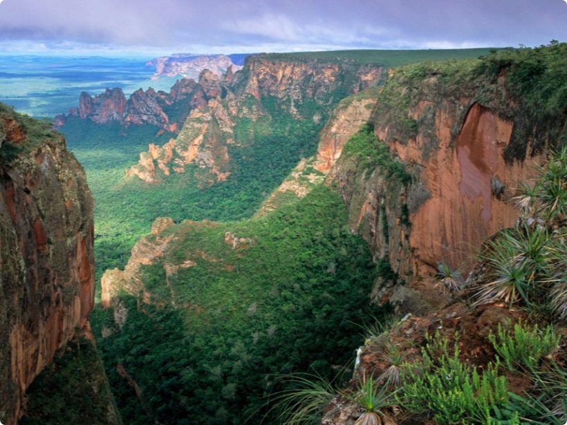 Home - Environmental Defense Fund - 2021 Impact Report